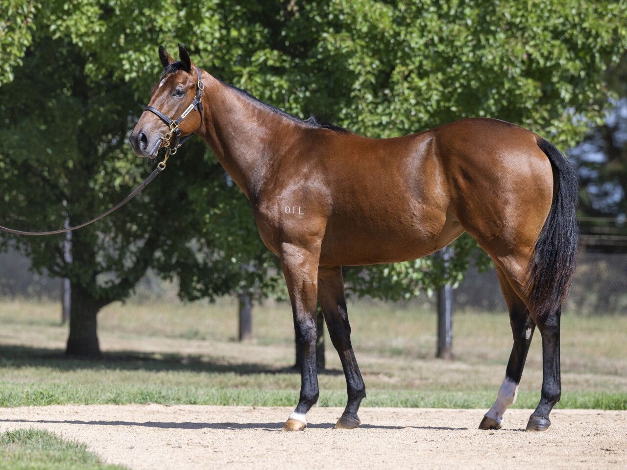Rock Glory - Cadet Lodge - Greg Eurell